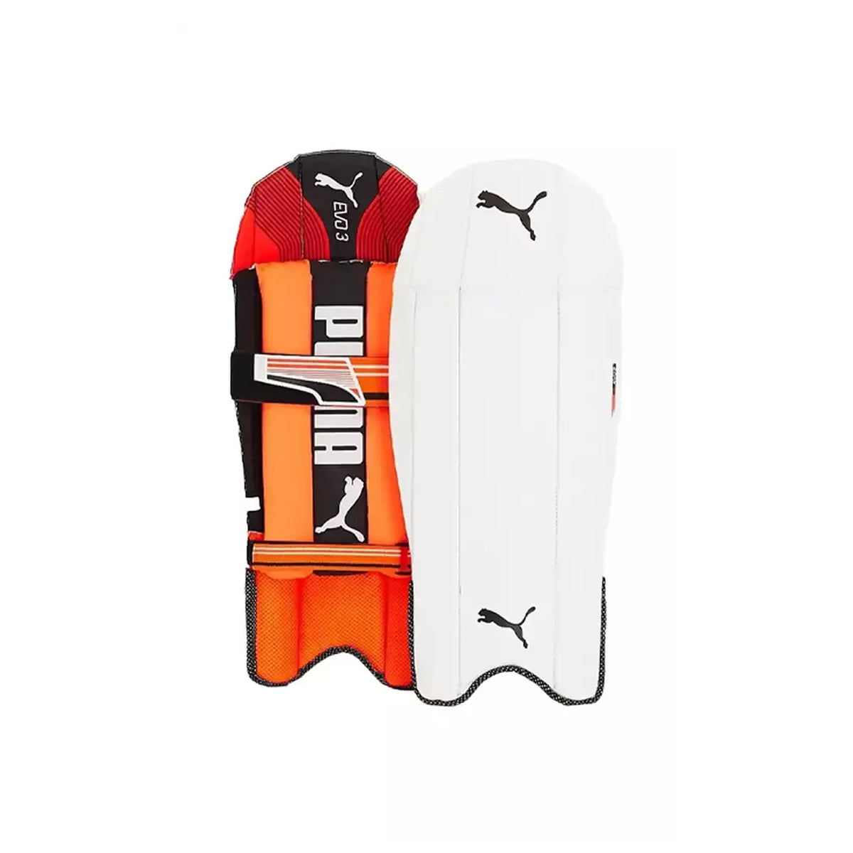 PUMA Evo 2 WICKET KEEPING PADS – Yashi Sports Inc